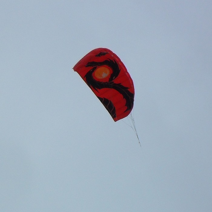 Adelaide Kite Festival 2013 - A Public Flying Focus This Time!