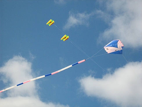 Types Of Kites - 8 Popular Single Liners